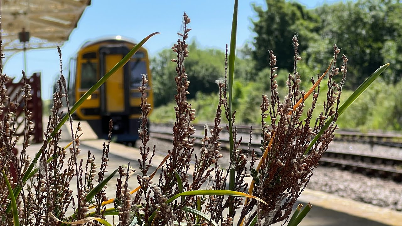 Hellifield Station (A Classic Station of the Railway Age) - 15th June ...