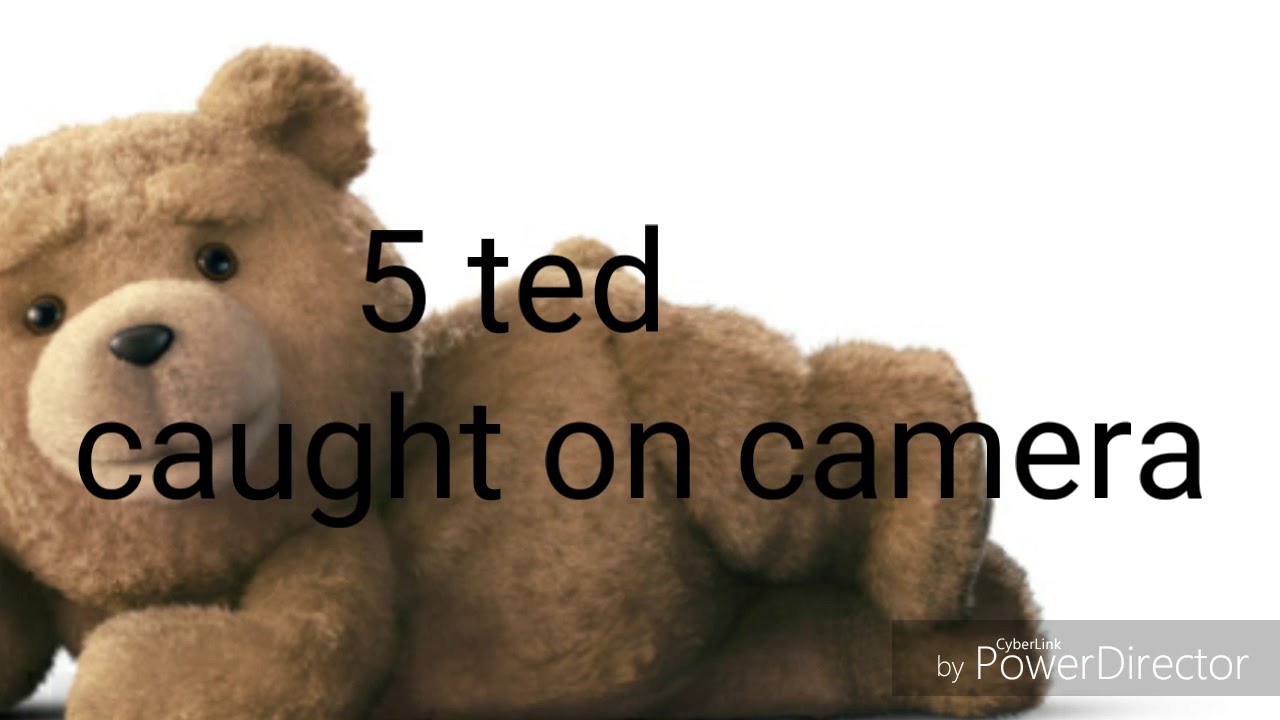 5 TED CAUGHT ON CAMERA & SPOTTED IN REAL LIFE - YouTube