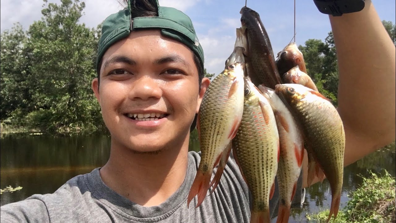 Memancing Ikan Terbol Letak Naik Letak Naik - YouTube