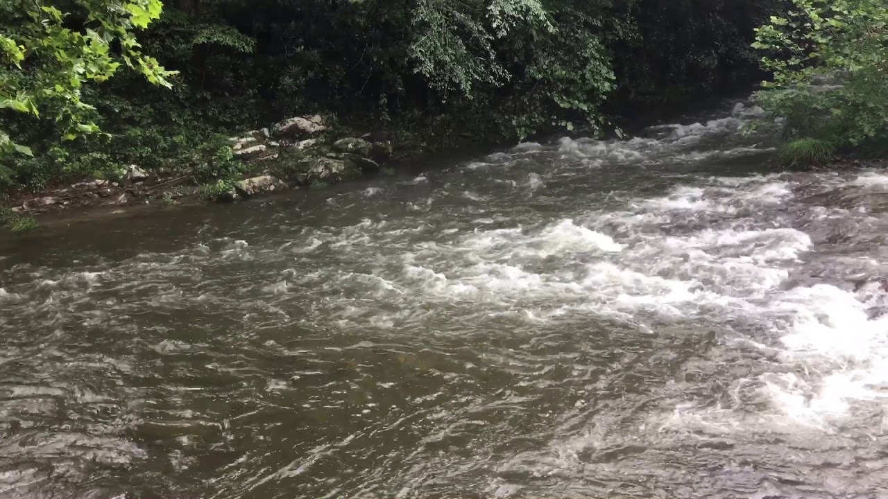 Pittman Center Area - YouTube