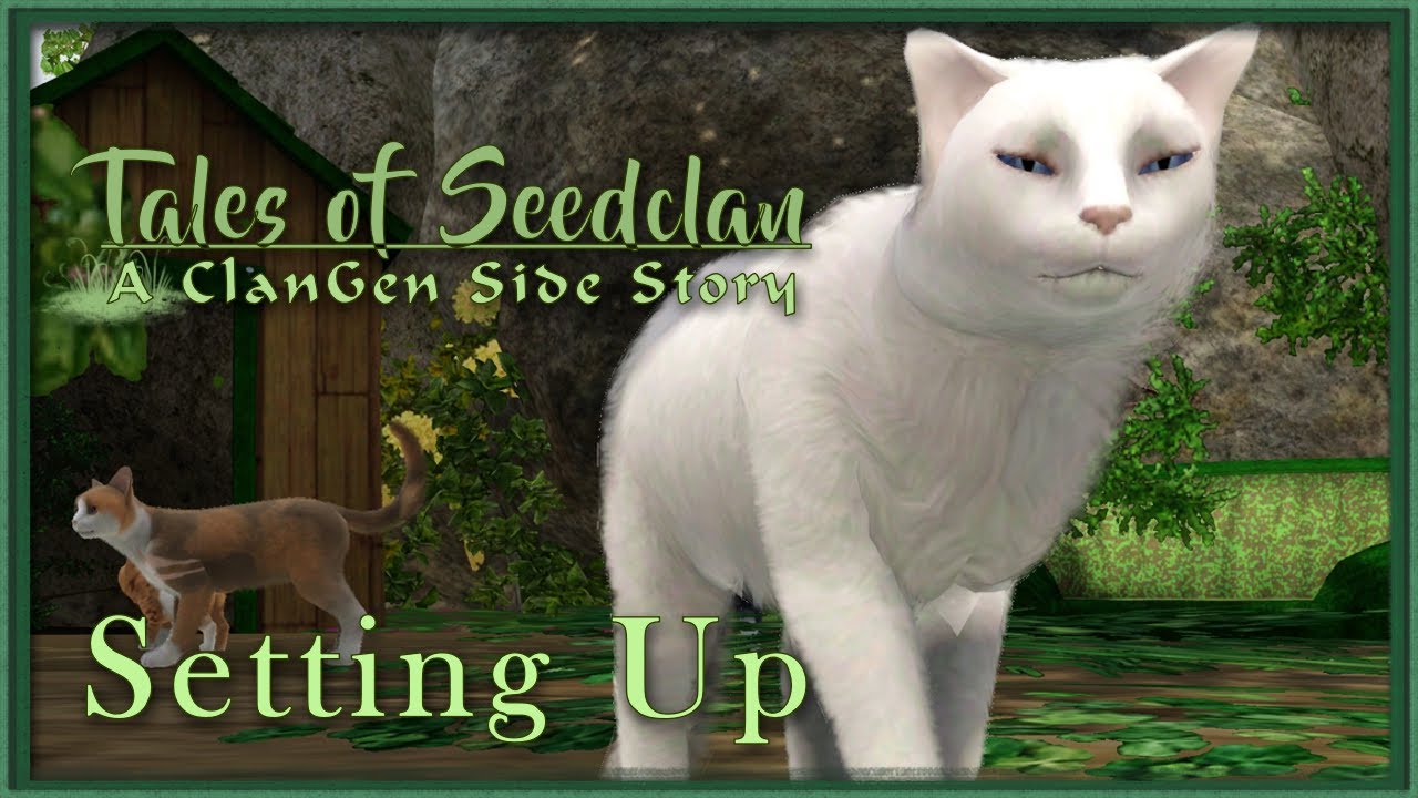 Creating Blossomsight's Clan || Behind the Scenes ~ Tales of Seedclan ...