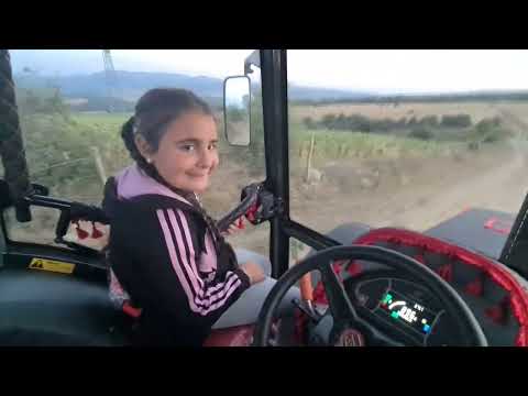 Kuzunun traktör sevdası