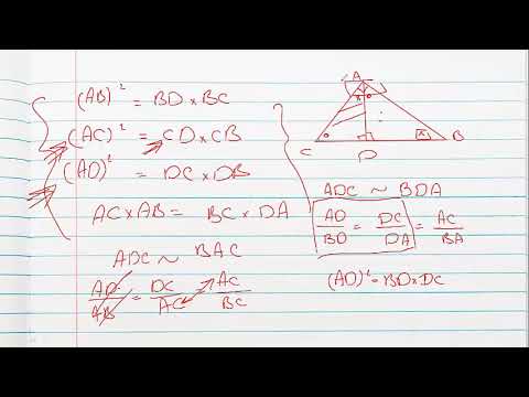 Sec 1 Math First Term Unit 2 Lesson 2 Similarity of Triangles - YouTube