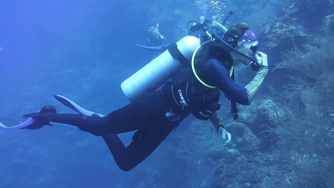 Scuba Savvy divers going thru the swim-thrus - YouTube