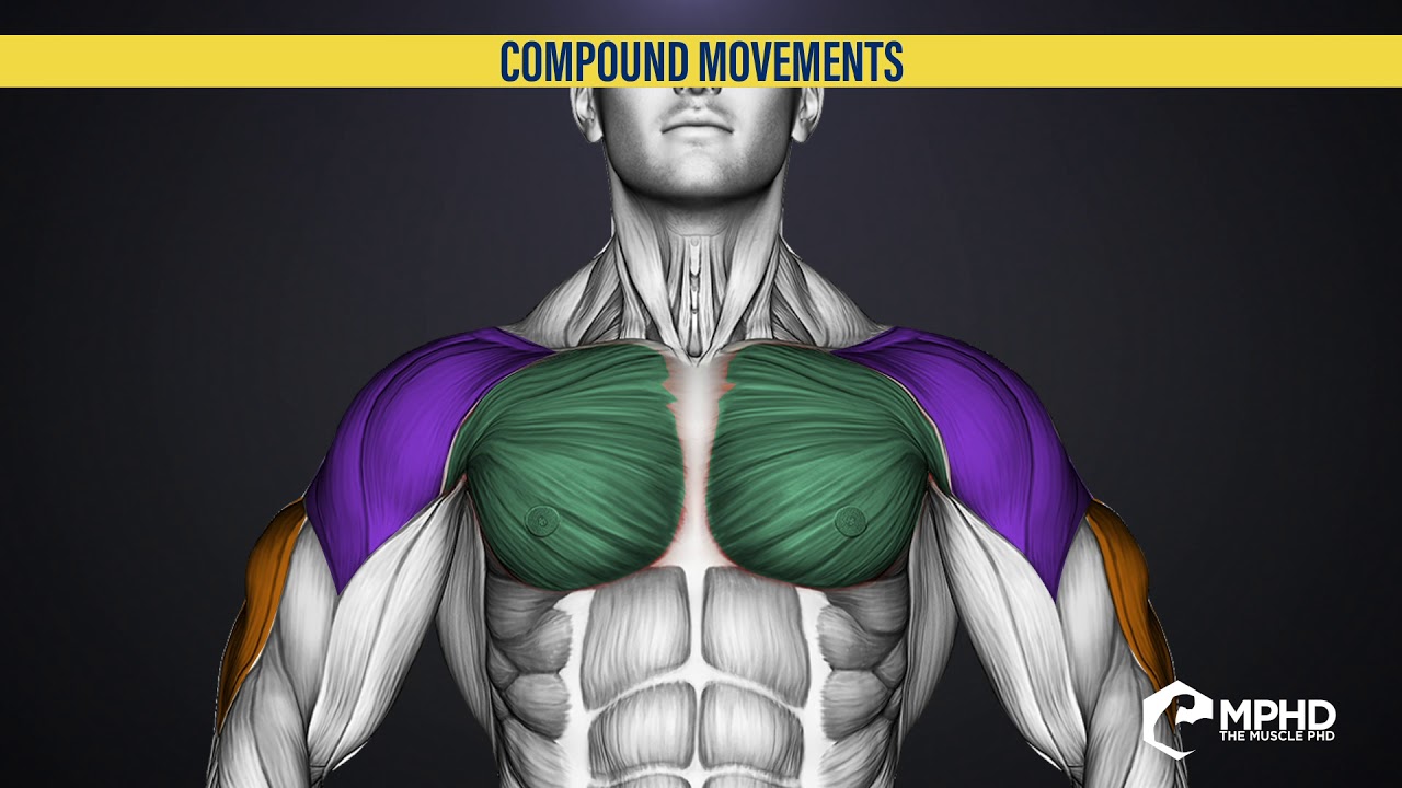 Brains to Gains: Compound Movements for the Chest - YouTube