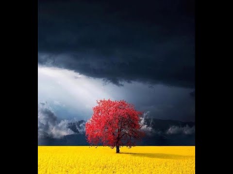 Ben Kanıyorum Sen Gidiyorsun