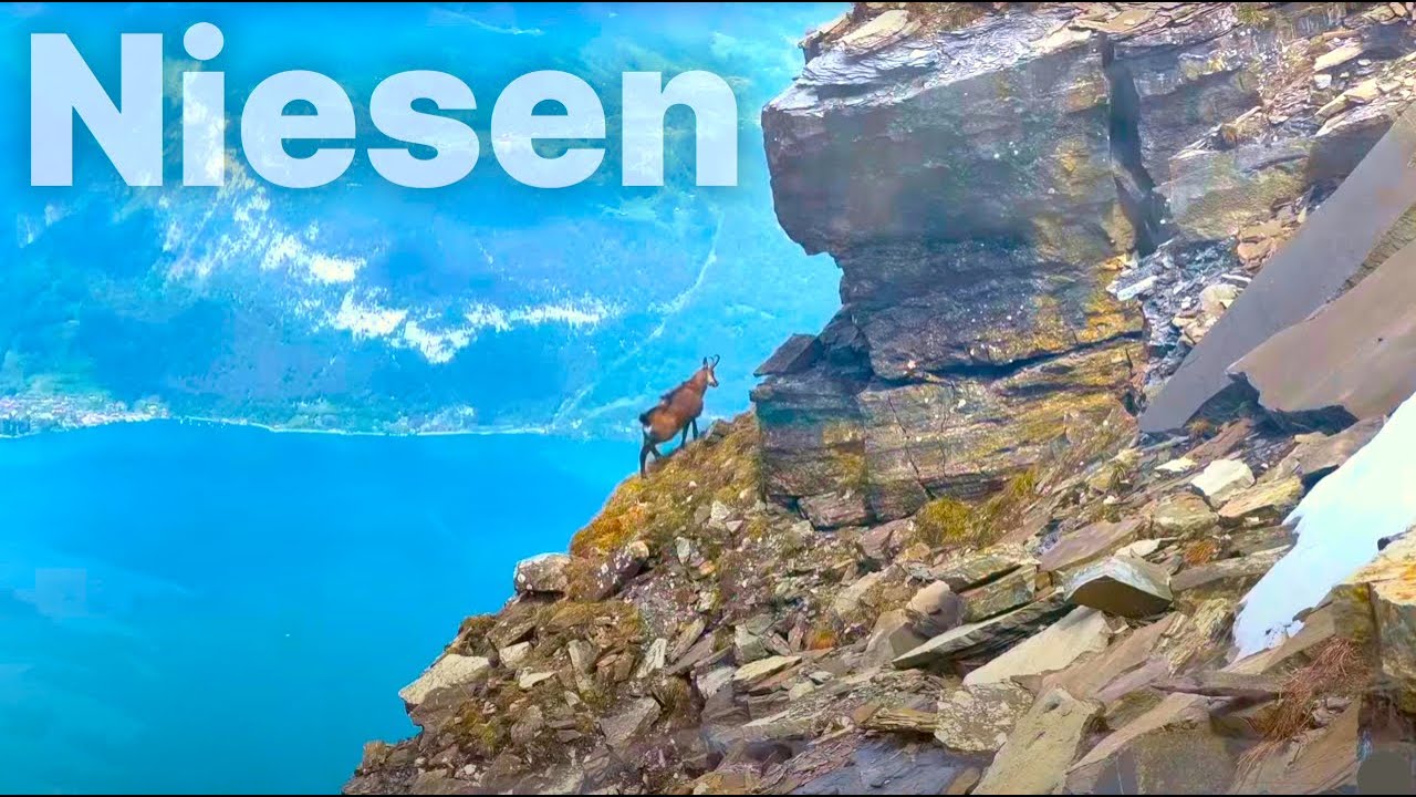Niesen Swiss Pyramid Swiss Alps Switzerland | Walking Tour 4K HDR Dolby ...