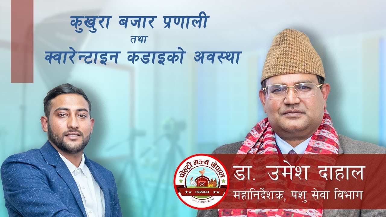 कुखुरा बजार प्रणाली तथा क्वारेन्टाइन कडाइको अवस्था | Poultry Podcast Ep ...