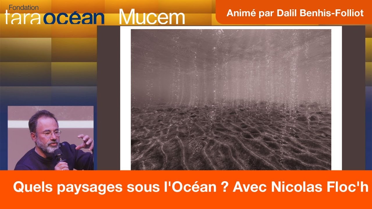 Rencontre avec l'artiste Nicolas Floc’h : quels paysages sous l'Océan ...
