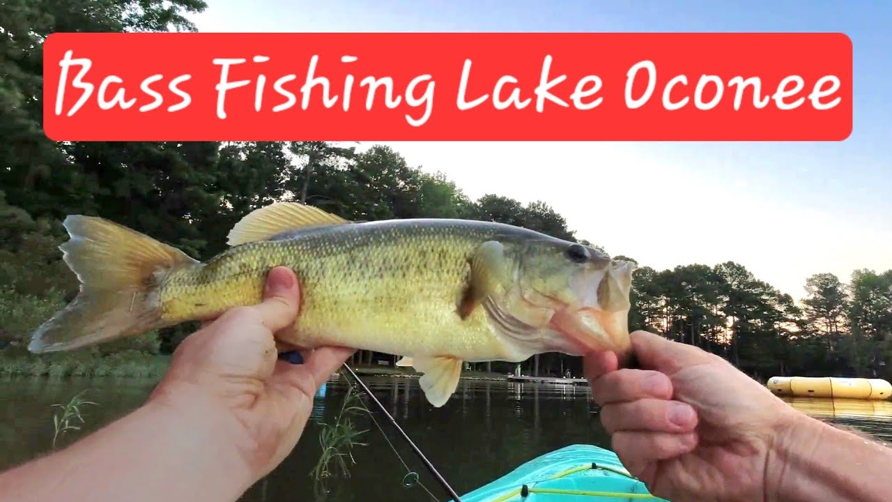 Bass Fishing Lake Oconee - YouTube
