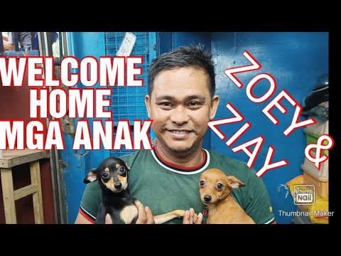 welcome home mga anak zoey and ziay - YouTube