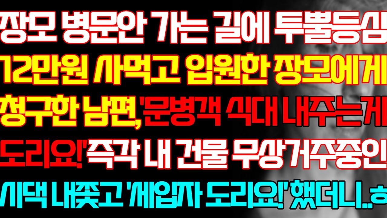 반전 실화사연 장모 병문안 가는 길에 투뿔등심 12만원 사먹고 입원한 장모에게 청구한 남편 문병객 식대 내주는게 도리요 즉각