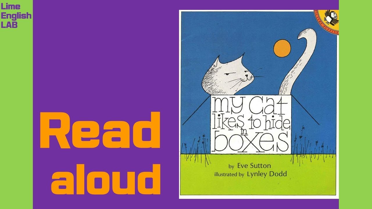 [my cat likes to hide in boxes] Read Aloud - YouTube