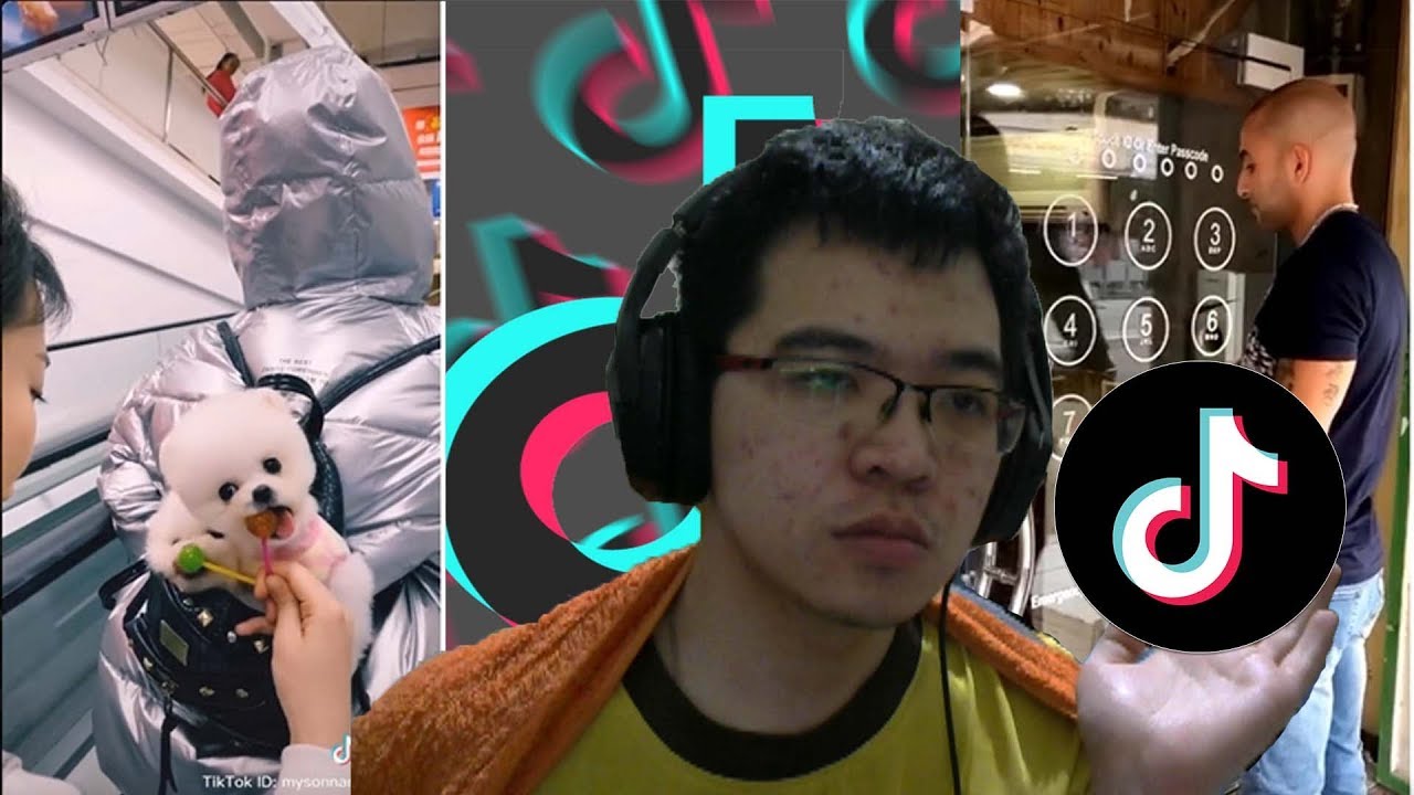 Live Reaction Indonesia - Video Tiktok Paling Trending?! - YouTube