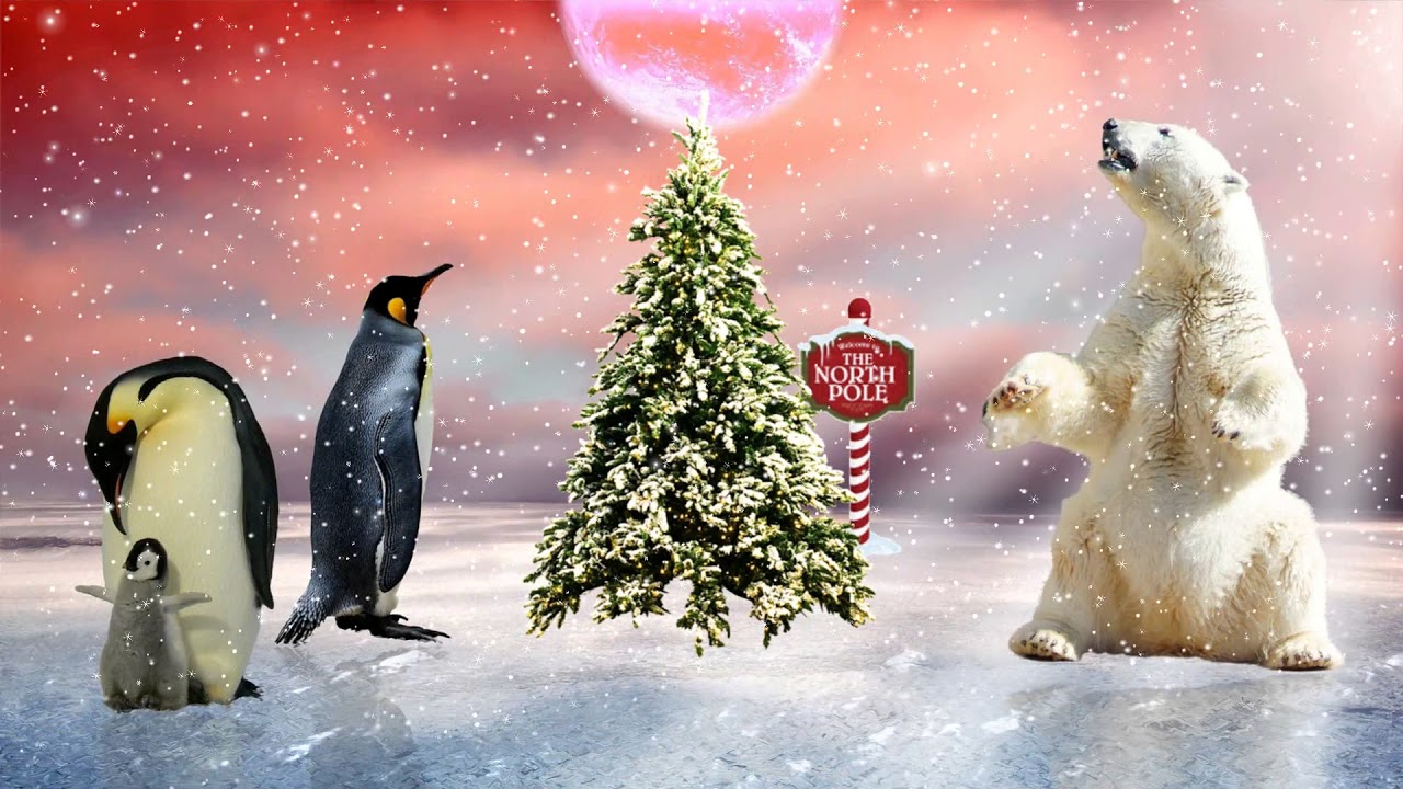 Arctic Christmas - YouTube