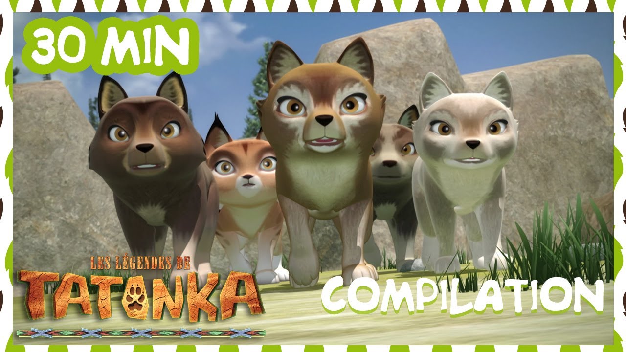 Le Guide 🐺 Tatonka en français 🐺 Compilation 🐺 Dessins animés - YouTube