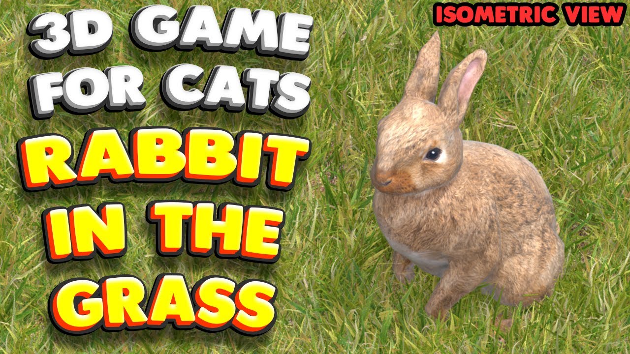 3D game for cats | Rabbit in the grass (isometric view) | 4K, 60 fps ...