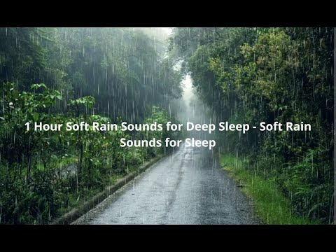1 Hour Soft Rain Sounds for Deep Sleep - Soft Rain Sounds for Sleep ...