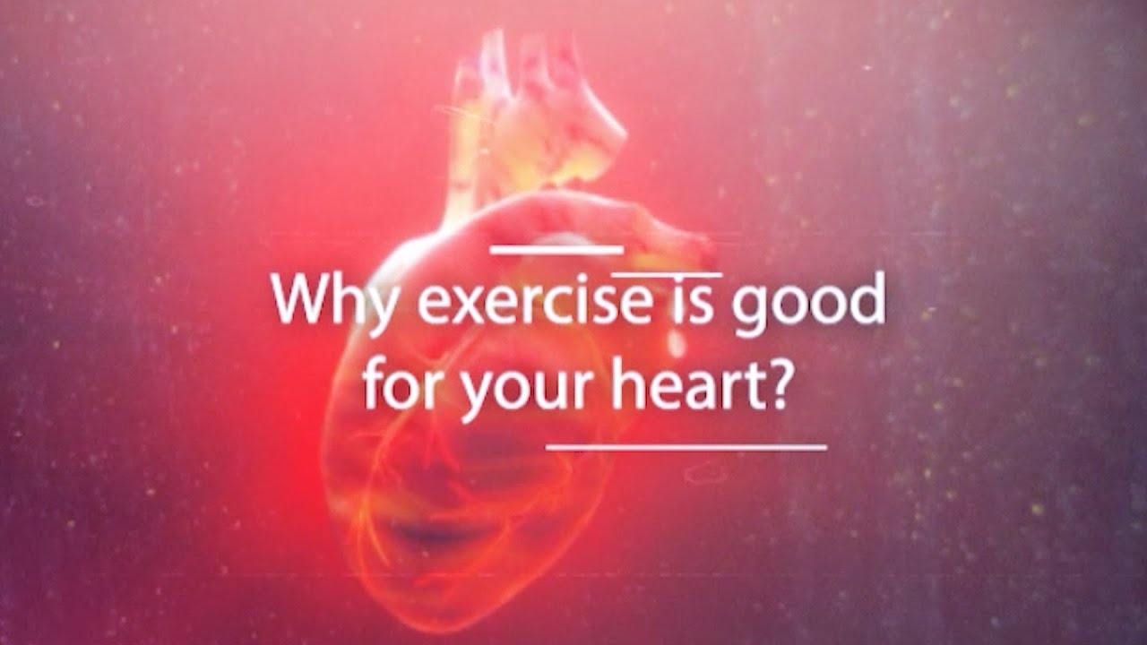 Why exercise is good for your heart? - YouTube