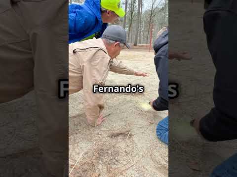 Visual mantracking #learning #nature #skills #everyone #classes #dailylife #outdoors #training