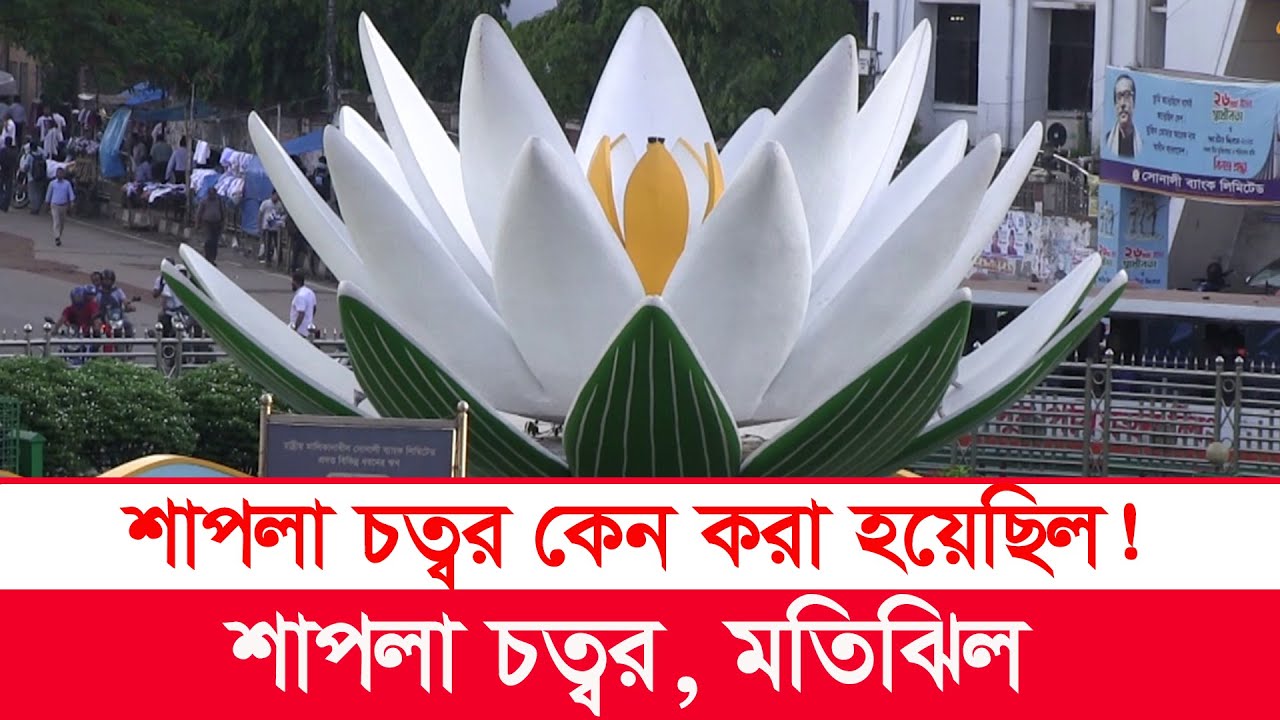 শাপলা চত্বর কেন করা হয়েছিল? | শাপলা চত্বর | মতিঝিল | Shapla Chattar | Y Bee - YouTube