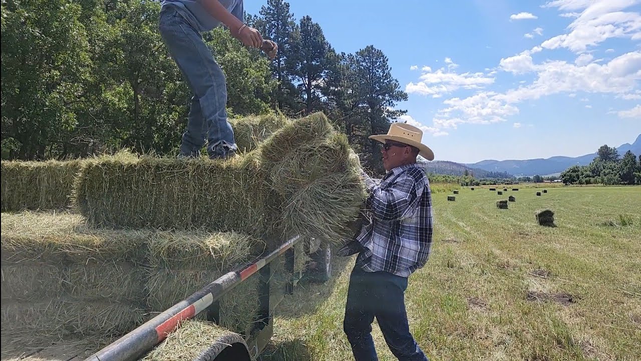 Bailing Hay - YouTube