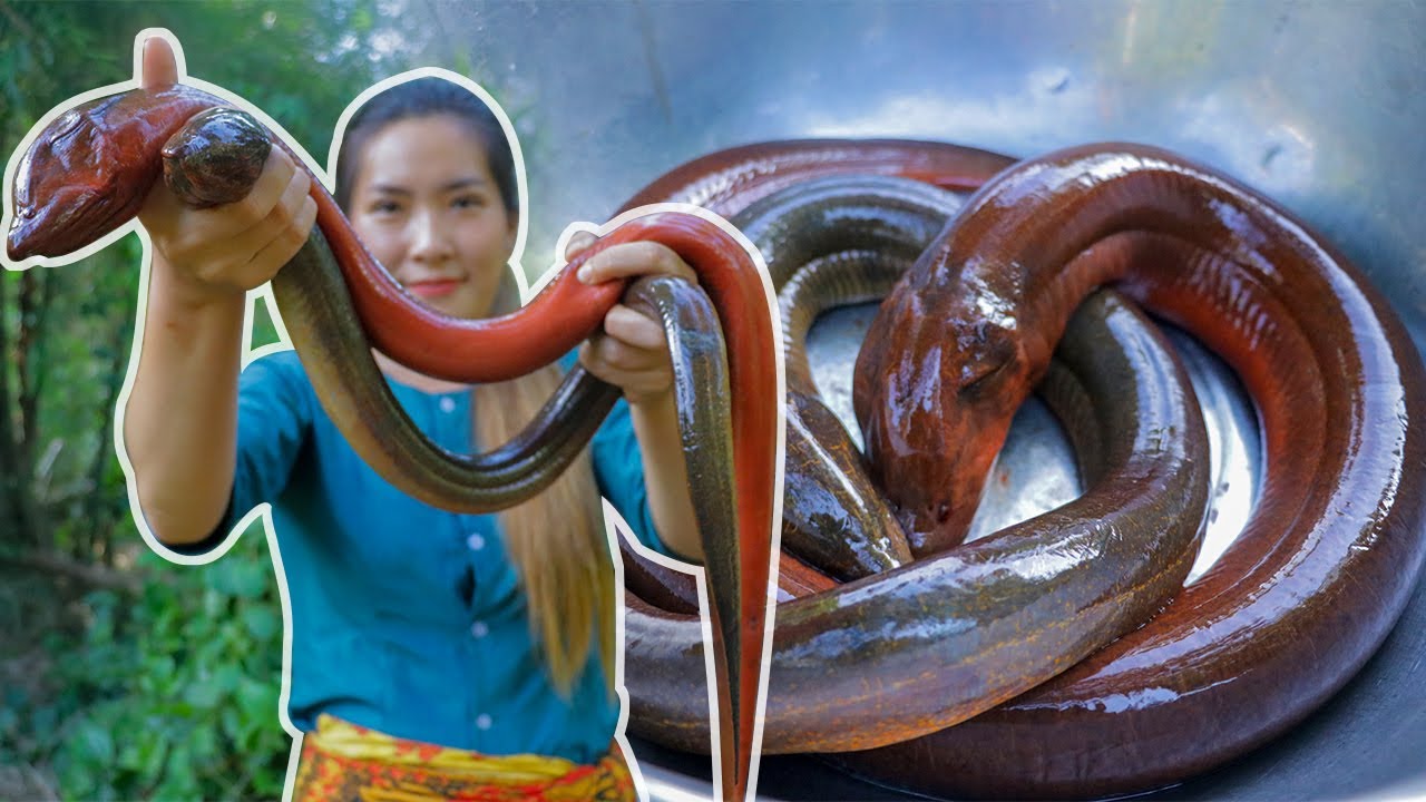 Cooking Tasty Red Eels With Banana Flower Recipe - Cooking Technique ...