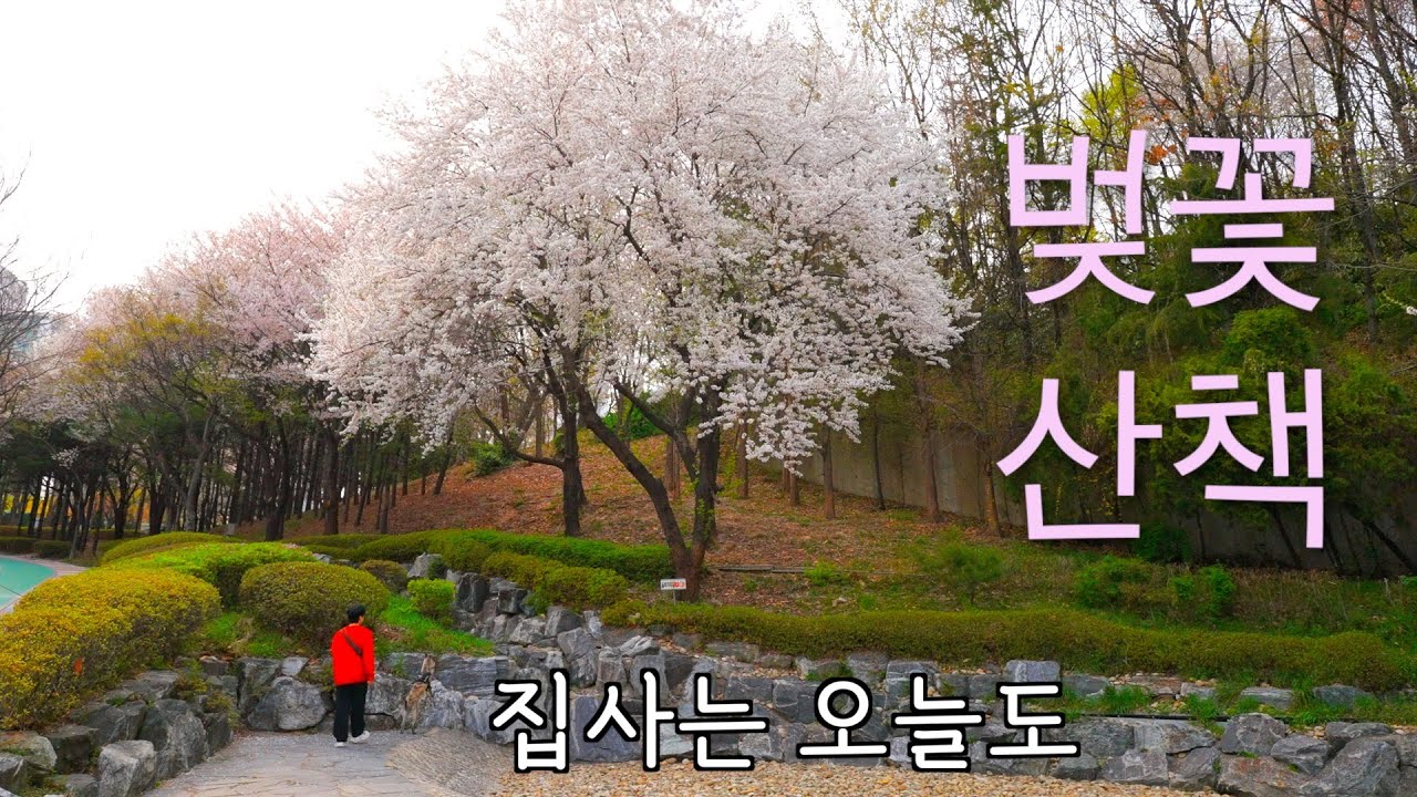 벚꽃은 먹는거 아니야 Youtube