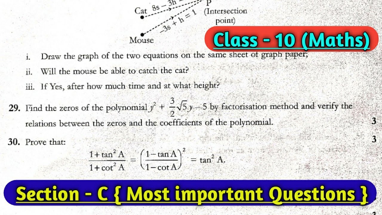 CBSE Class 10 mathematics PAPER 2020 BOARD EXAM | CLASS 10 BOARD EXAM ...