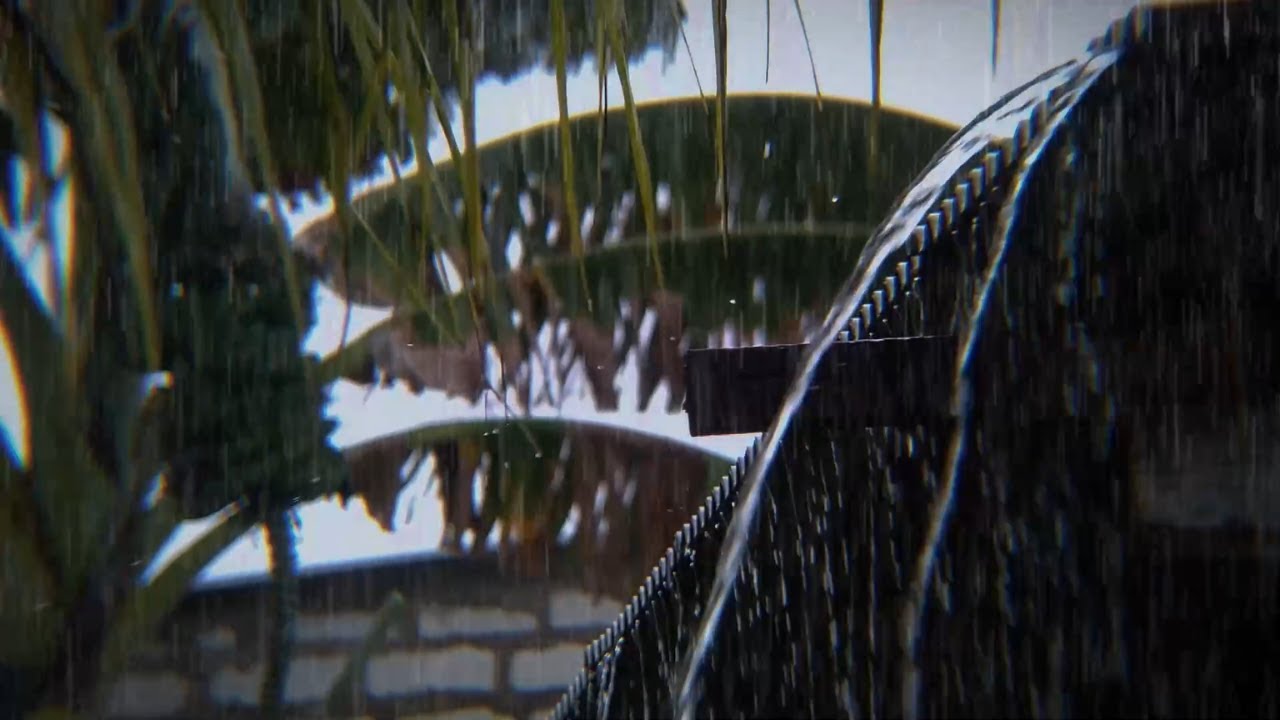 Heavy Torrential Rain on Tin Roof No Thunder | Rain Sounds for Sleeping ...