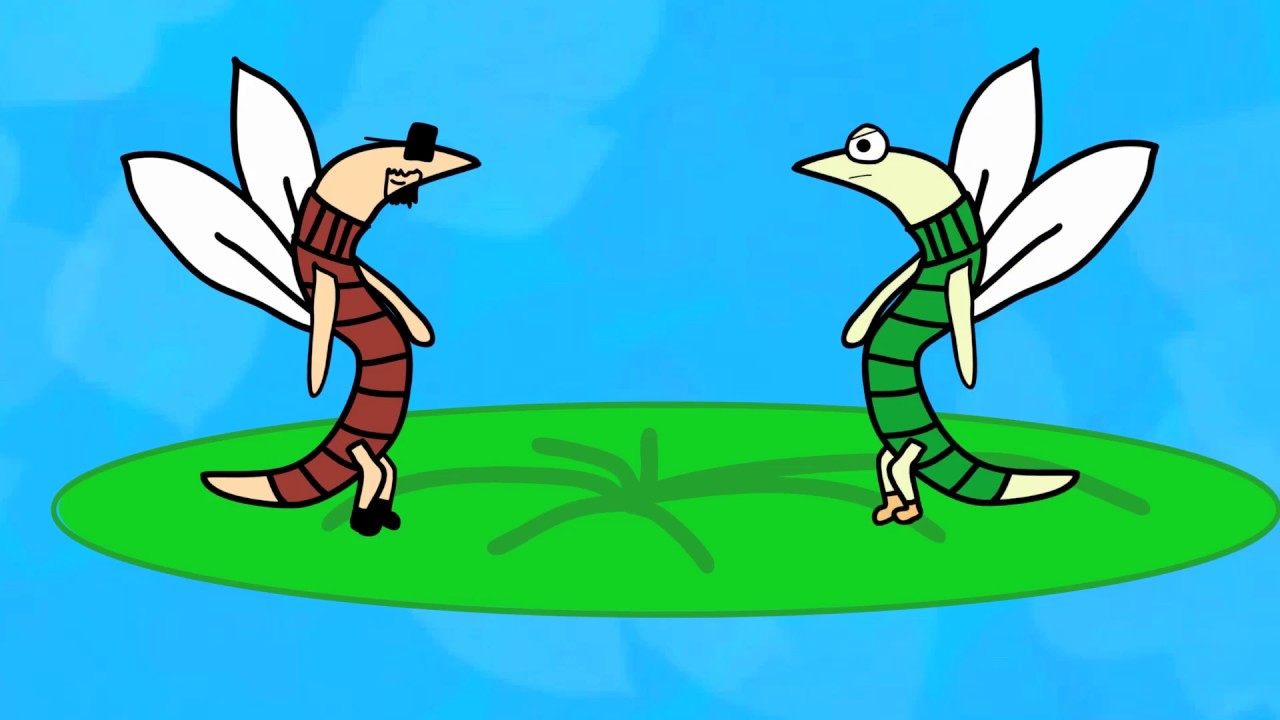 Marty the Mayfly - Animation - YouTube