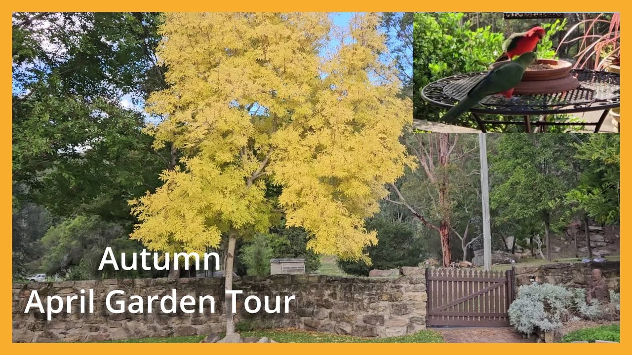 2024 April Autumn Trees Tour #australia #gardentourclub #autumn #trees ...