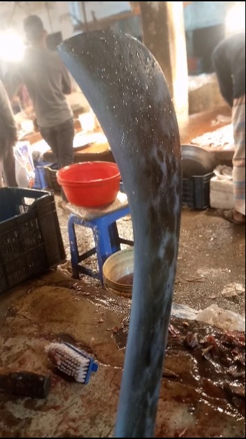 Wow 🙀 fish cutting boti মাছ কাটার বটি #shortvideo #youtube #shortsviral ...