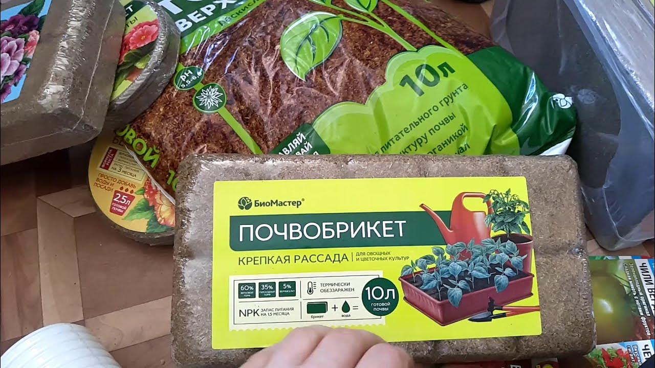 Почвобрикеты БиоМастер. Обзор рассады. Посев перцев и баклажан. - YouTube