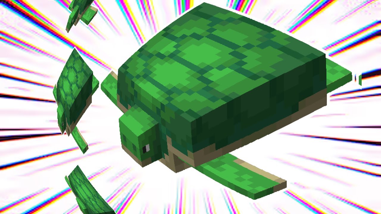 turtle gang yoooo - YouTube