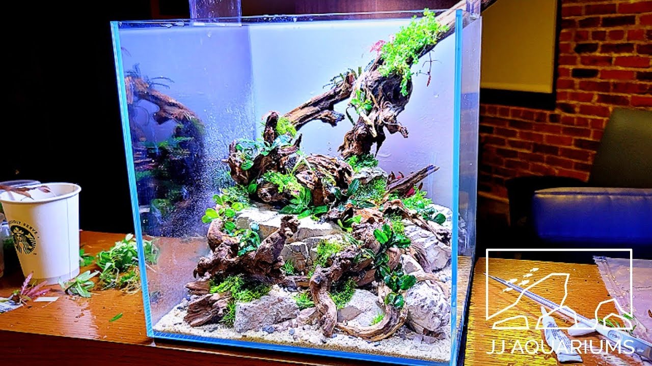 Planting The ADA 30C Aquarium - YouTube