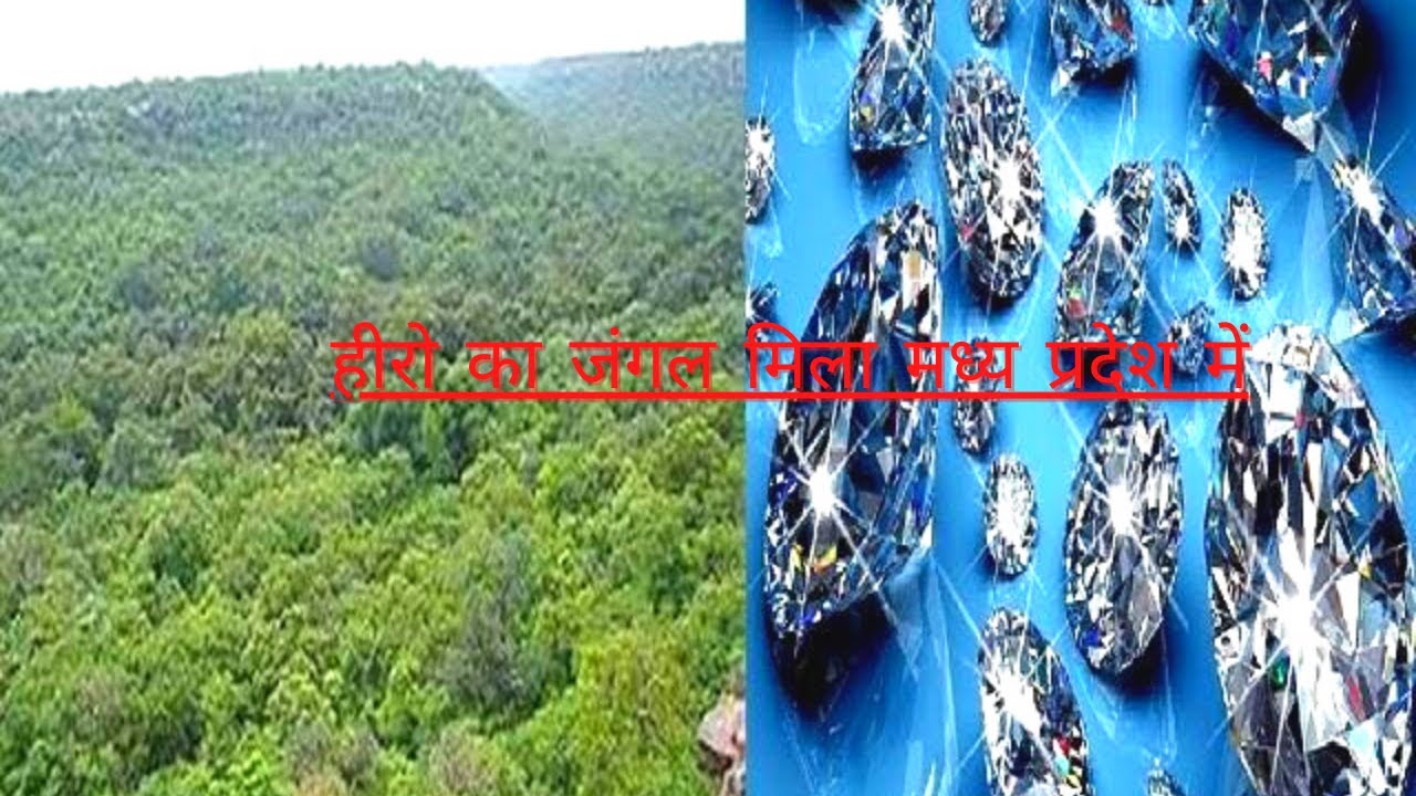 BUXWAHA FOREST DIAMOND MINING AND CUTTING 2.15 LAKH TREE - YouTube