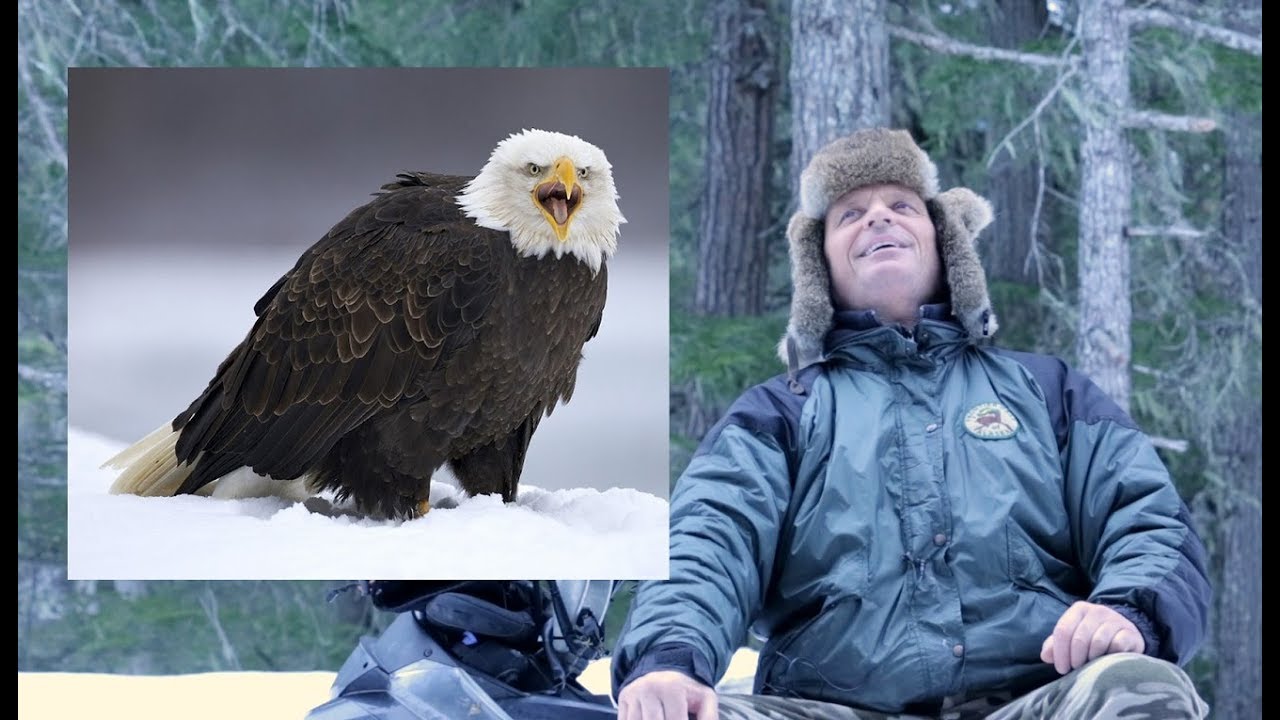 Insane Eagle Encounter - YouTube