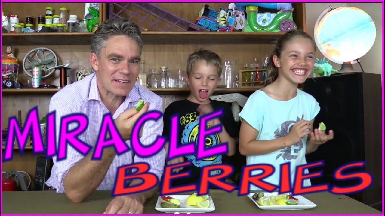 Miracle Berry – Turn your taste buds inside out - YouTube