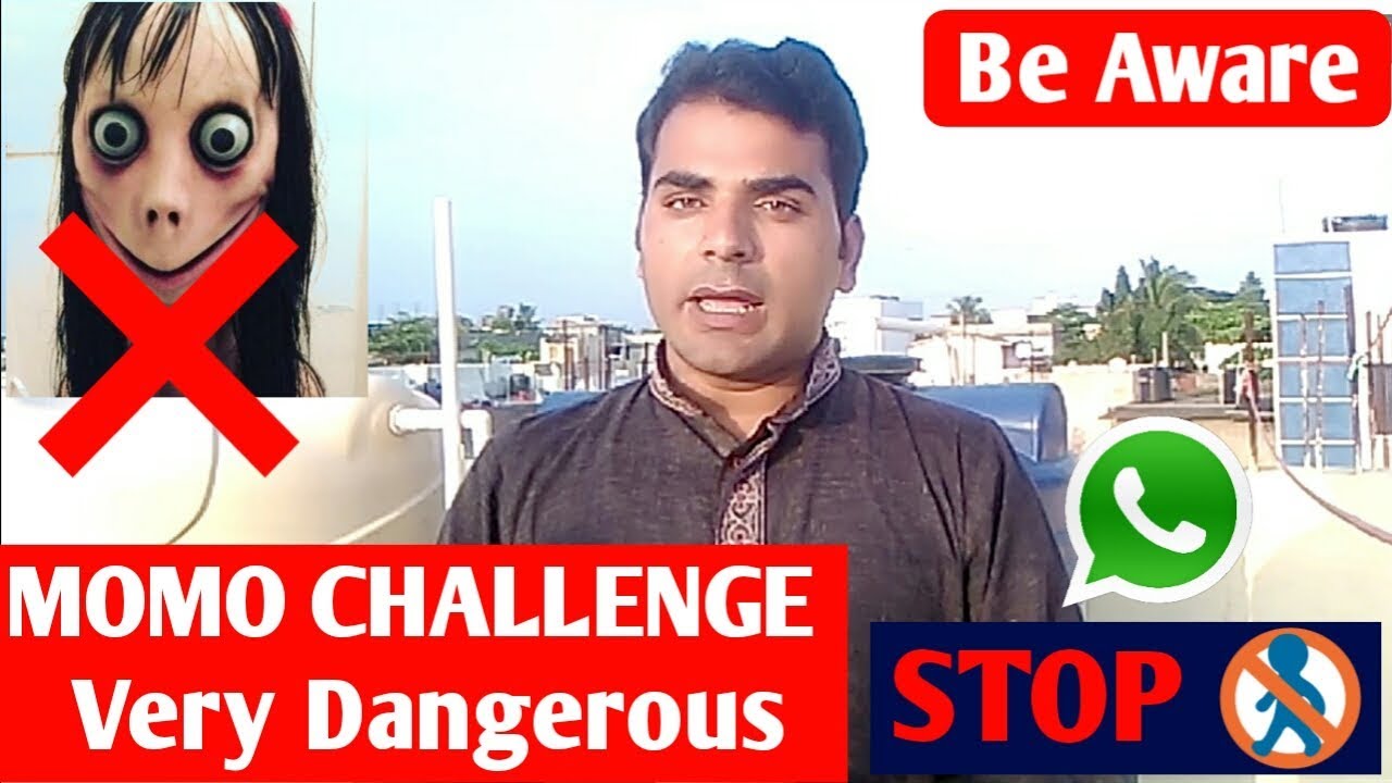 What is Momo Challenge How Dangerous it is? Momo Challenge very ...