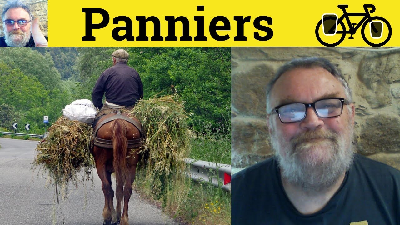 😎 Pannier Meaning - Panniers Meaning - Pannier Defined - Panniers ...