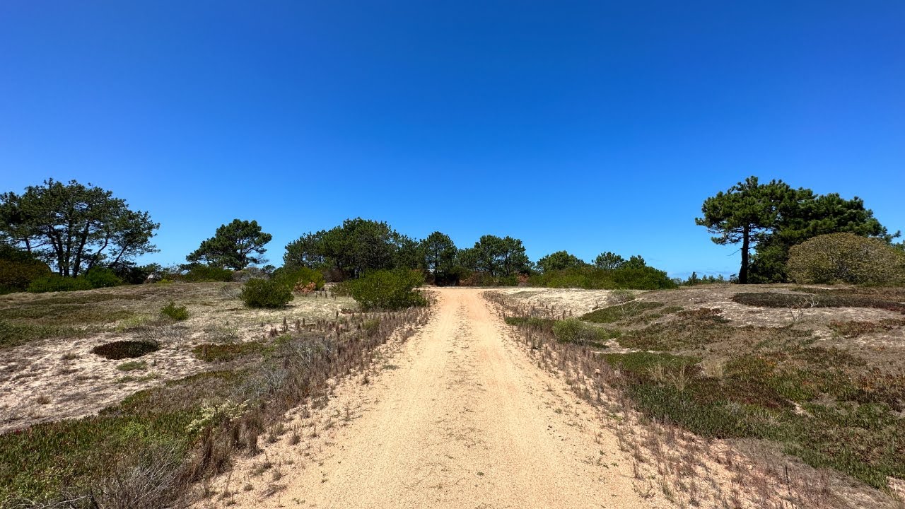 Arenas de Jose Ignacio - YouTube