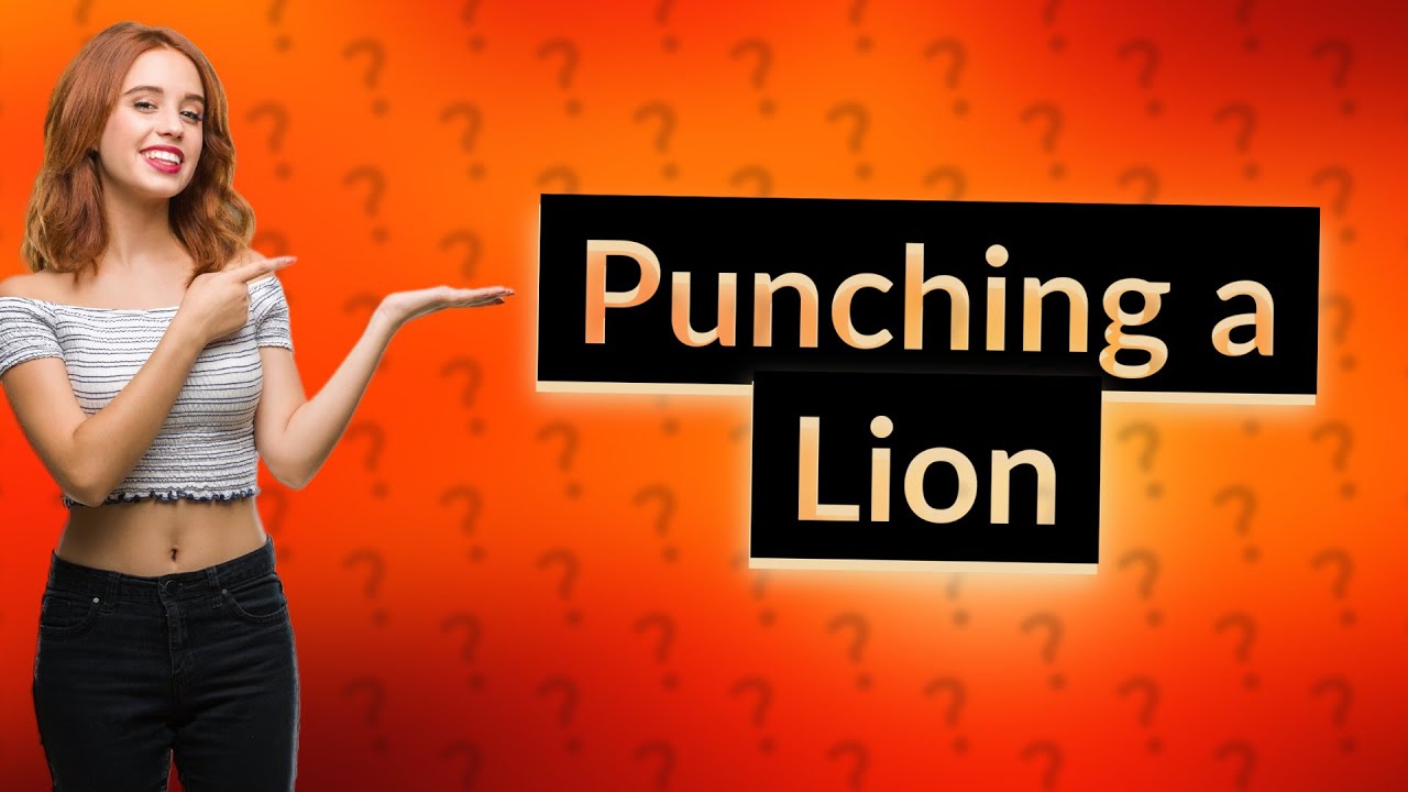 Can a punch hurt a lion? - YouTube