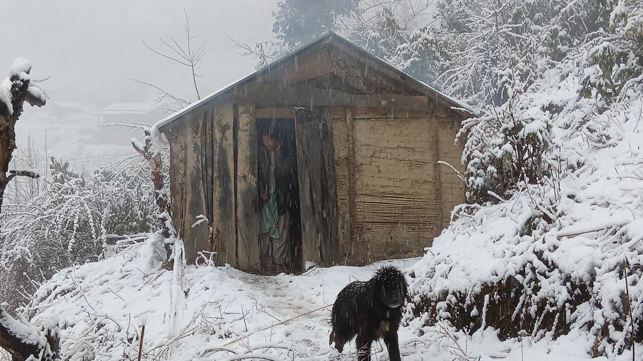 Surviving Life in on of the Coldest Regions Of Nepal | A Snowy Freezing ...