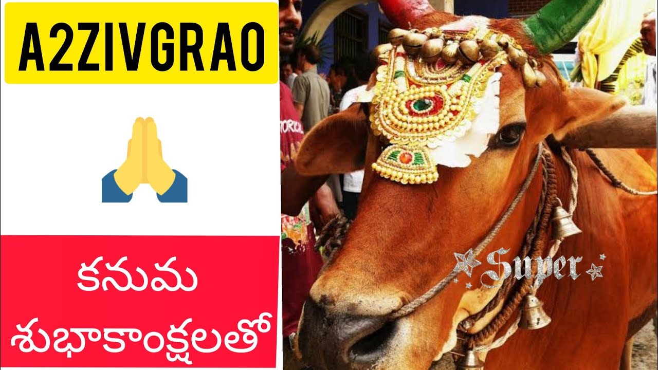 కనుమ శుభాకాంక్షలు | Happy kanuma | Army day | Farmers day | uppu chekka ...