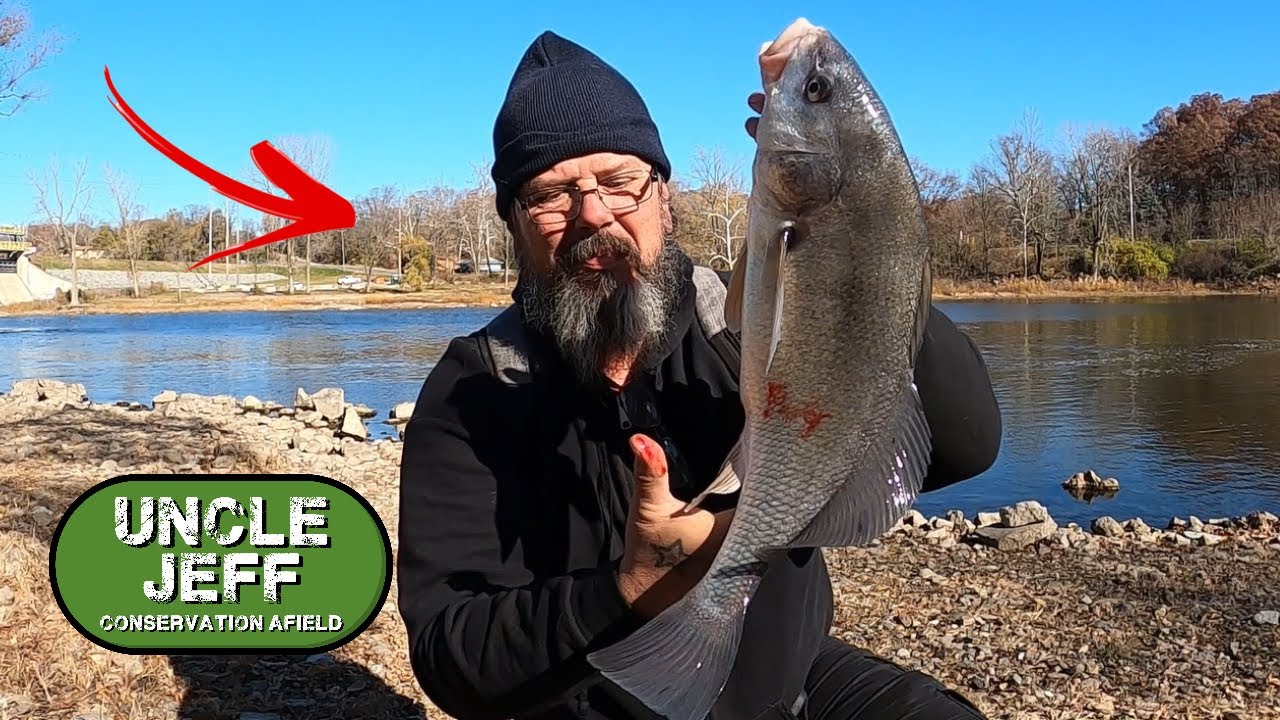 EATING ONLY WHAT I CATCH CHALLENGE! for 3 hours - YouTube