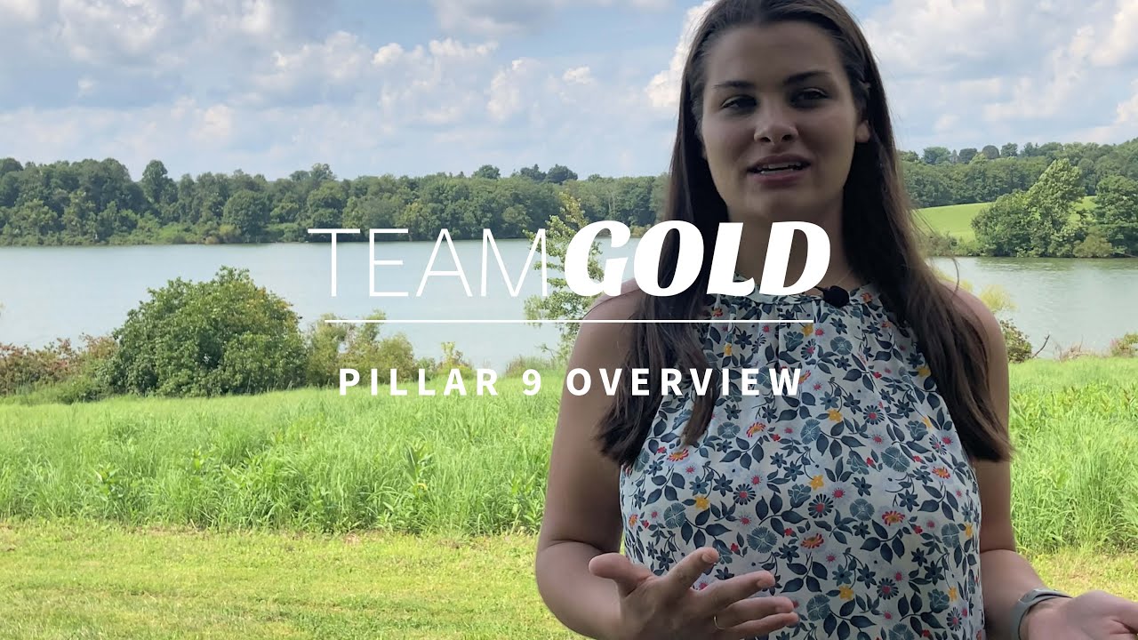 Pillar 9 | Overview - YouTube
