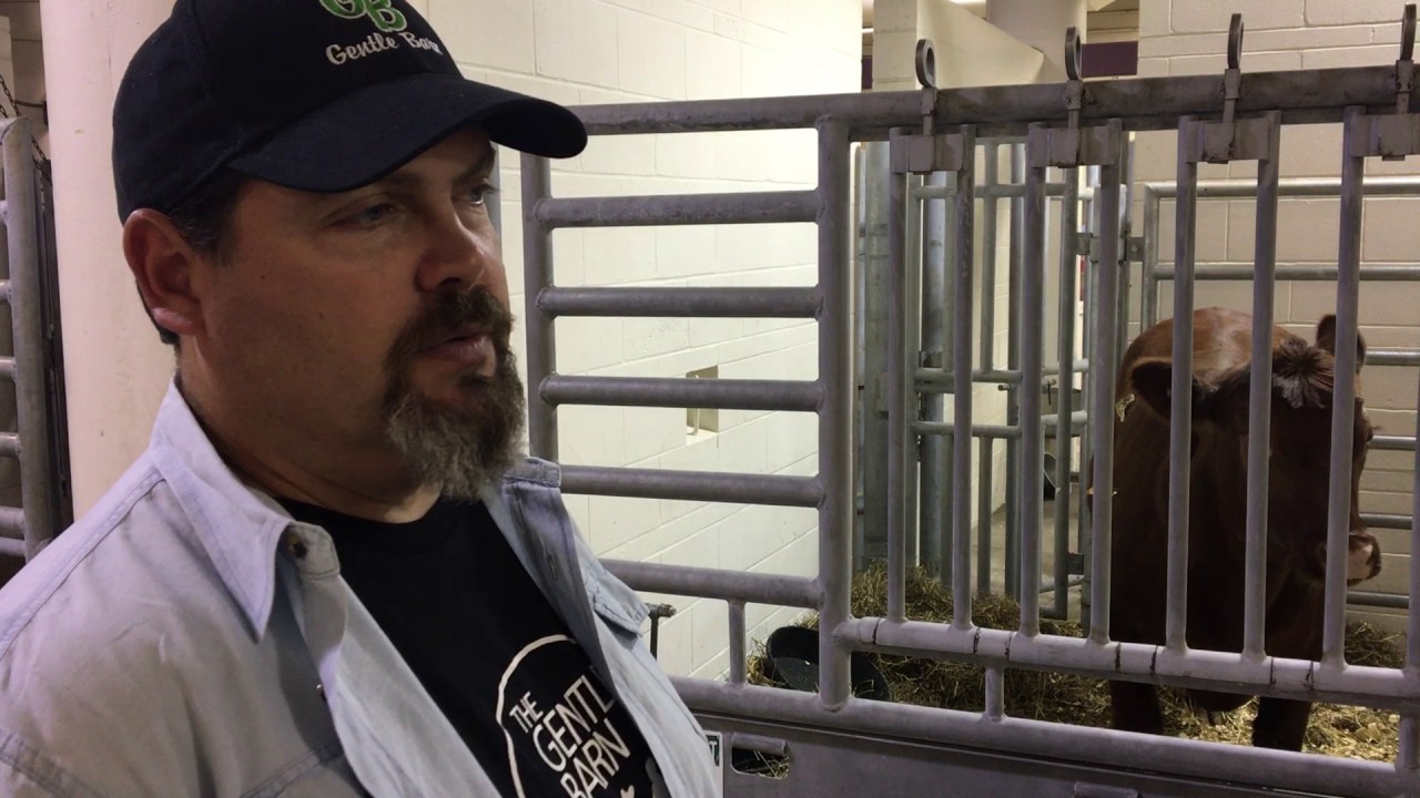 Jay Weiner on STL steers - YouTube
