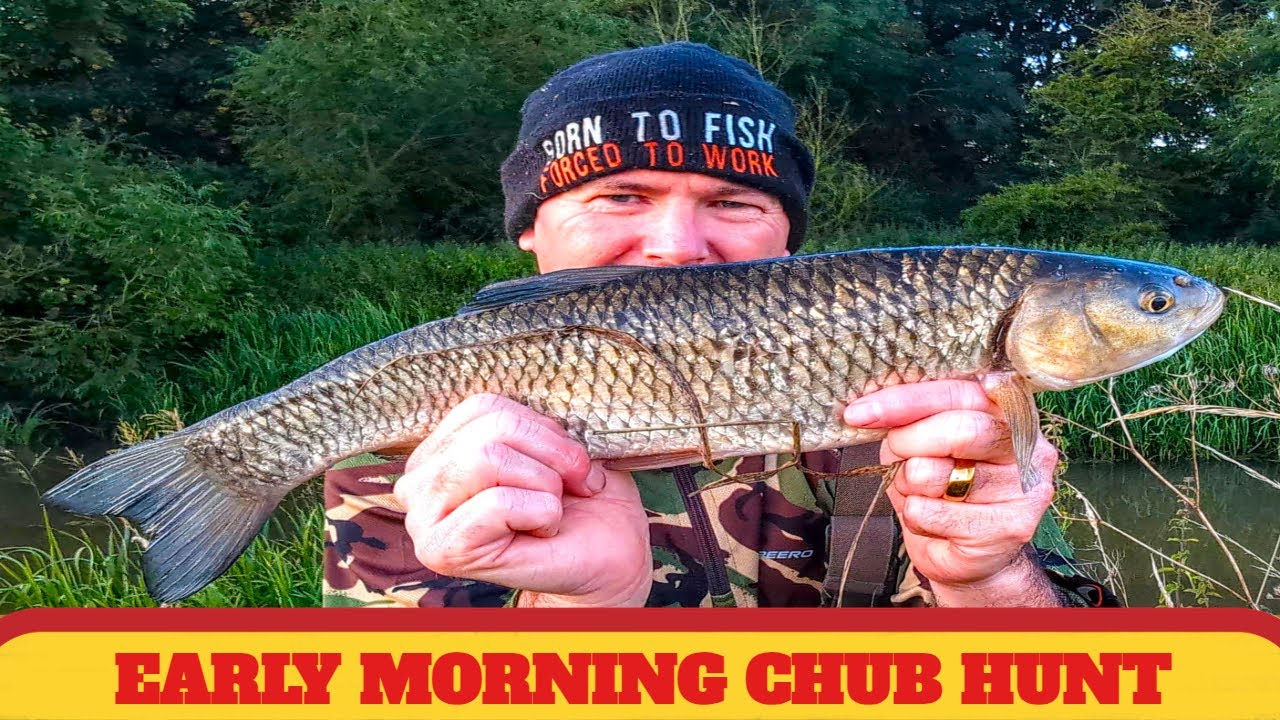 river chub fishing : Coarse fishing uk - YouTube
