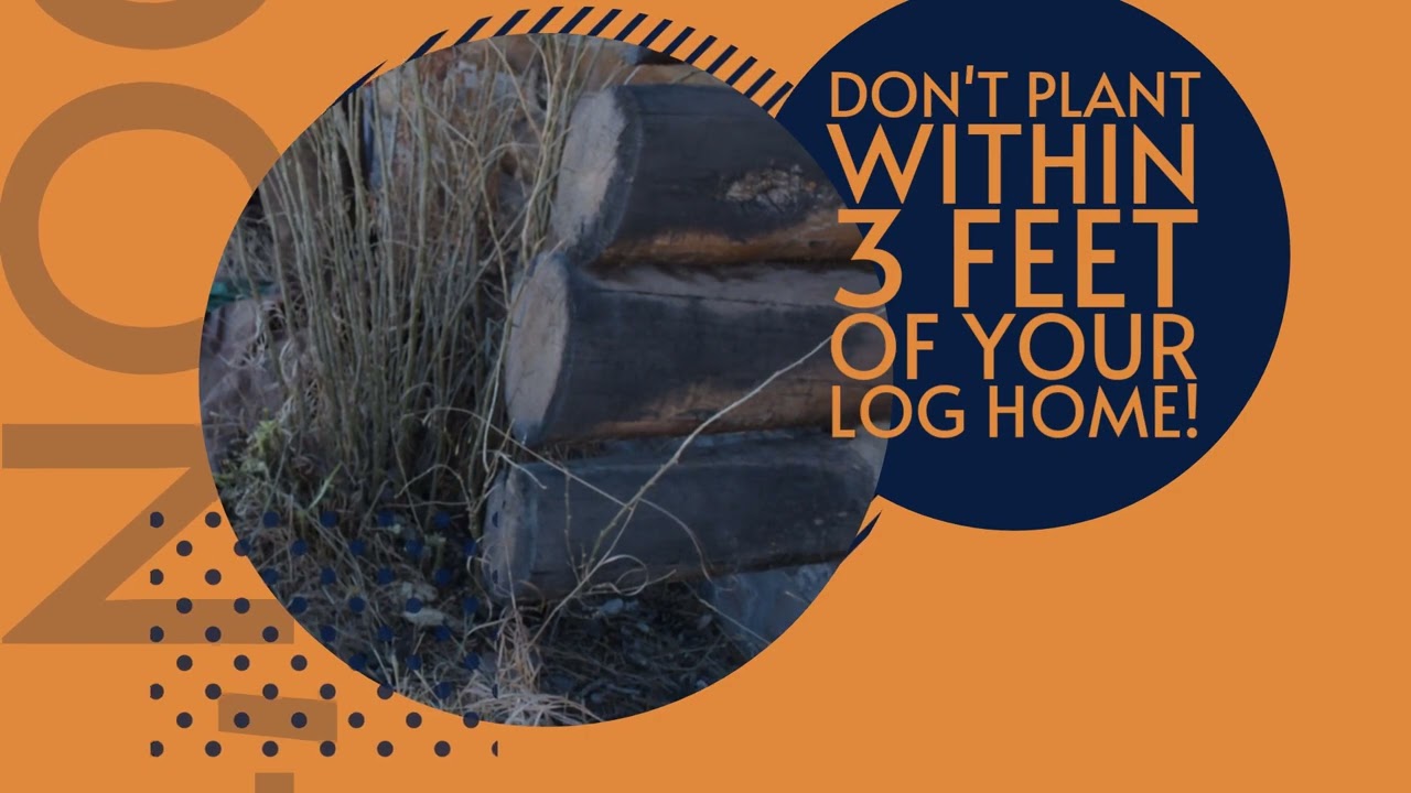 3 Log Home Tips From Trusted Experts In The Field Of Log Home 3 Log Home Tips From Trusted Experts In The Field Of Log Home